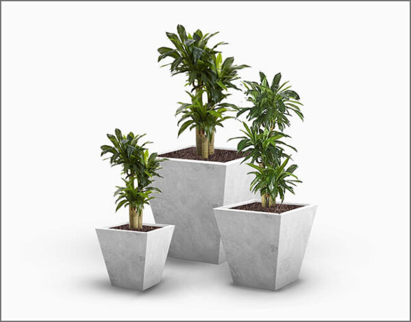 สี่เหลี่ยมคางหมูเตี้ย SHORT TRAPEZOID : กระถางปูน กระถางหินขัด Concrete ...