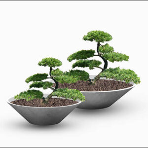 สี่เหลี่ยมคางหมูสูง TALL TRAPEZOID : กระถางปูน กระถางหินขัด Concrete ...