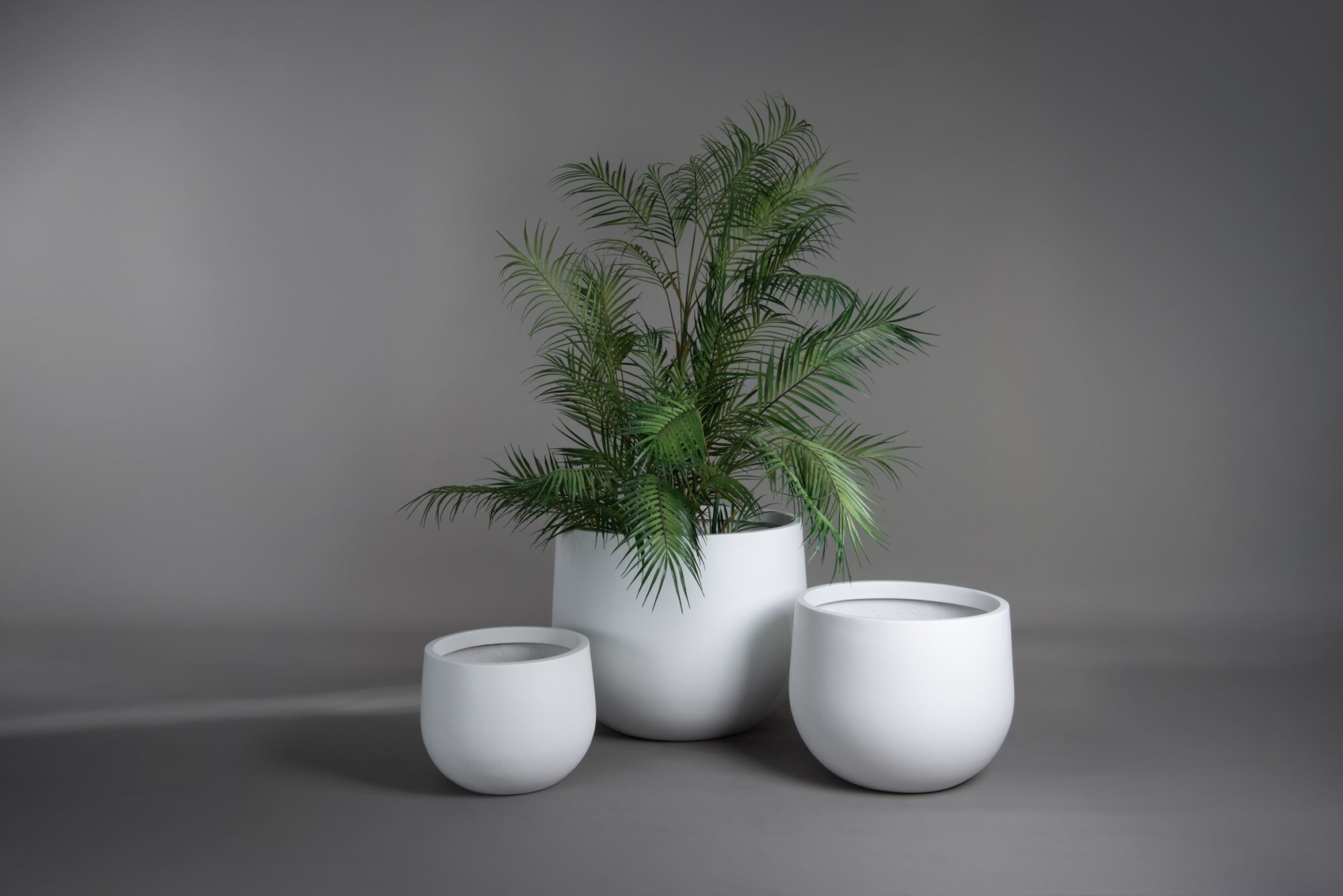 พลัม PLUM : กระถางไฟเบอร์กลาส Fiberglass Pot - I-POT กระถางต้นไม้ ...